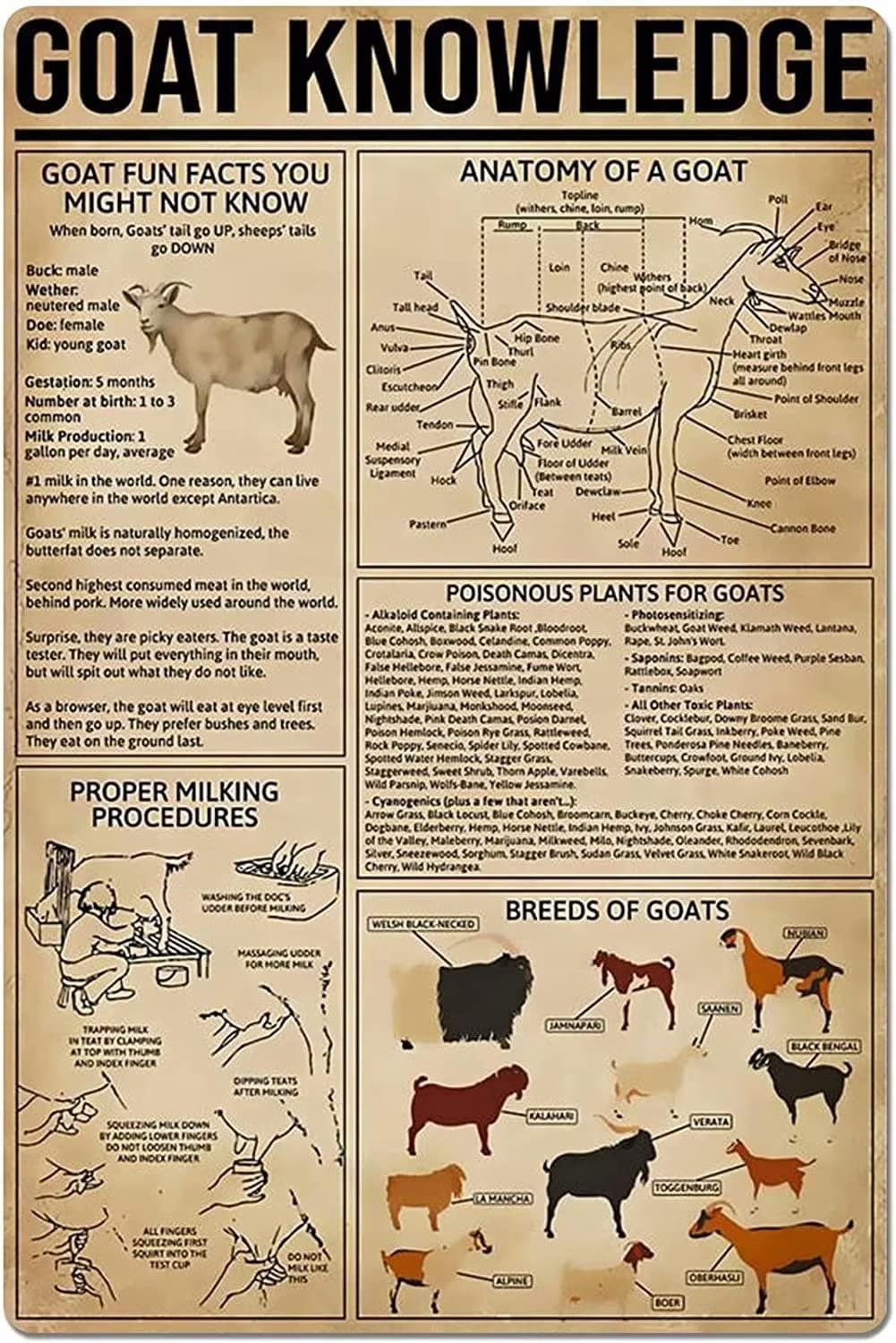 Goat Knowledge Metal Signs Poster Anatomy Of A Goat Home Bedroom People ...