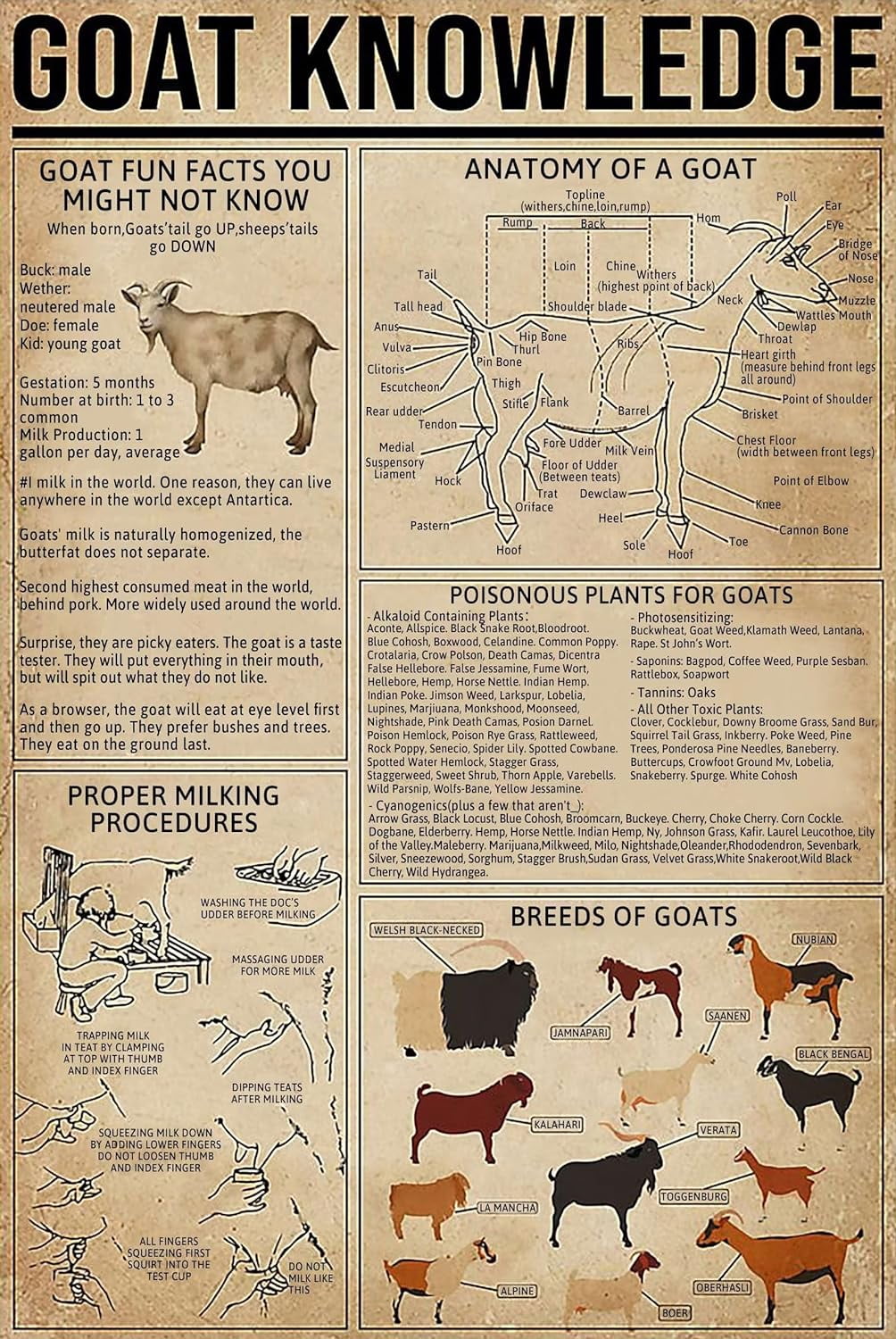 Goat Knowledge Metal Tin Sign Anatomy Of A Goat Chart Wallart Artwork ...