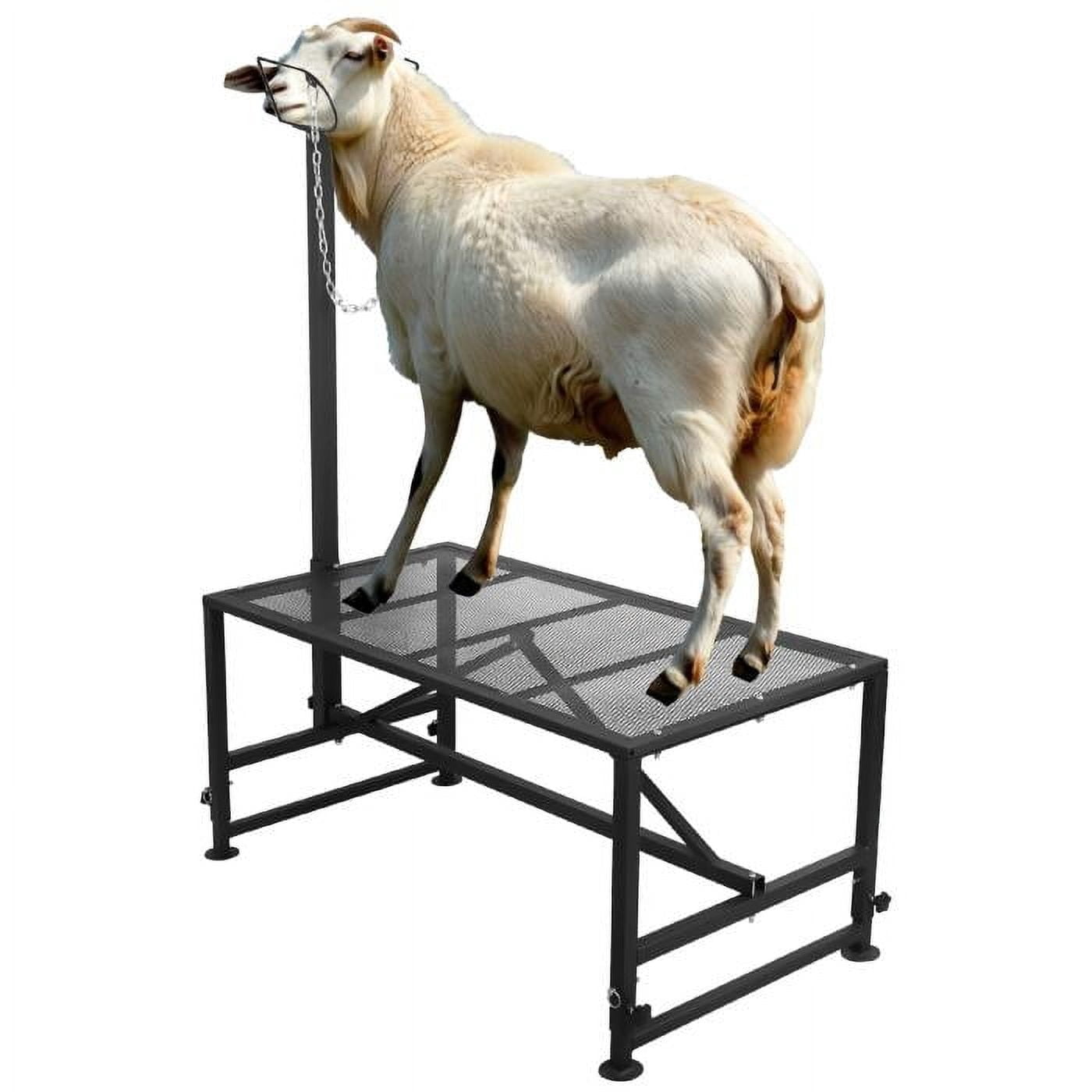 Goat Milking Stand, 47x23 inch Metal Sheep Milking and Shearing Stand ...
