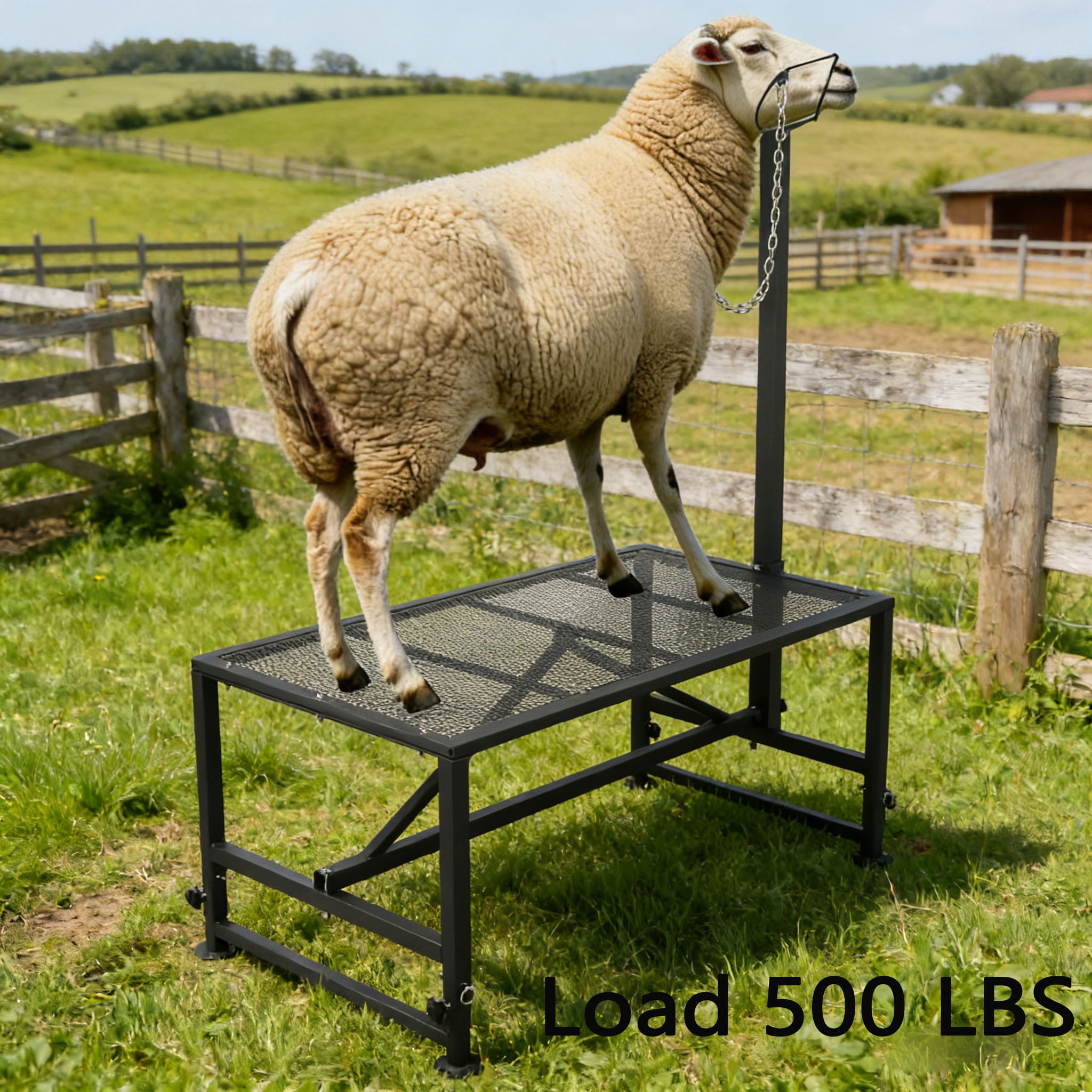 Goat Milking Stand with Headpiece and Nose Loop, Heavy Duty Metal ...