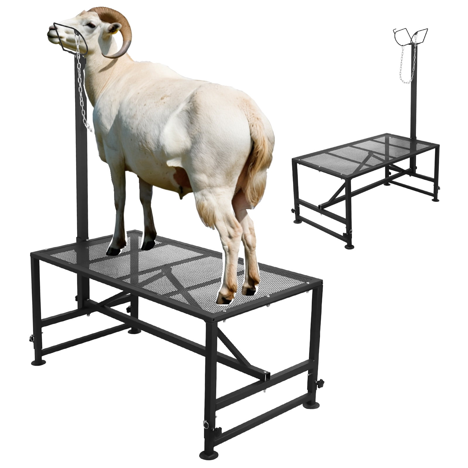 Goat Rack, Flex Height System 20"-25"-30"-34", Black Color, Iron Sheep ...