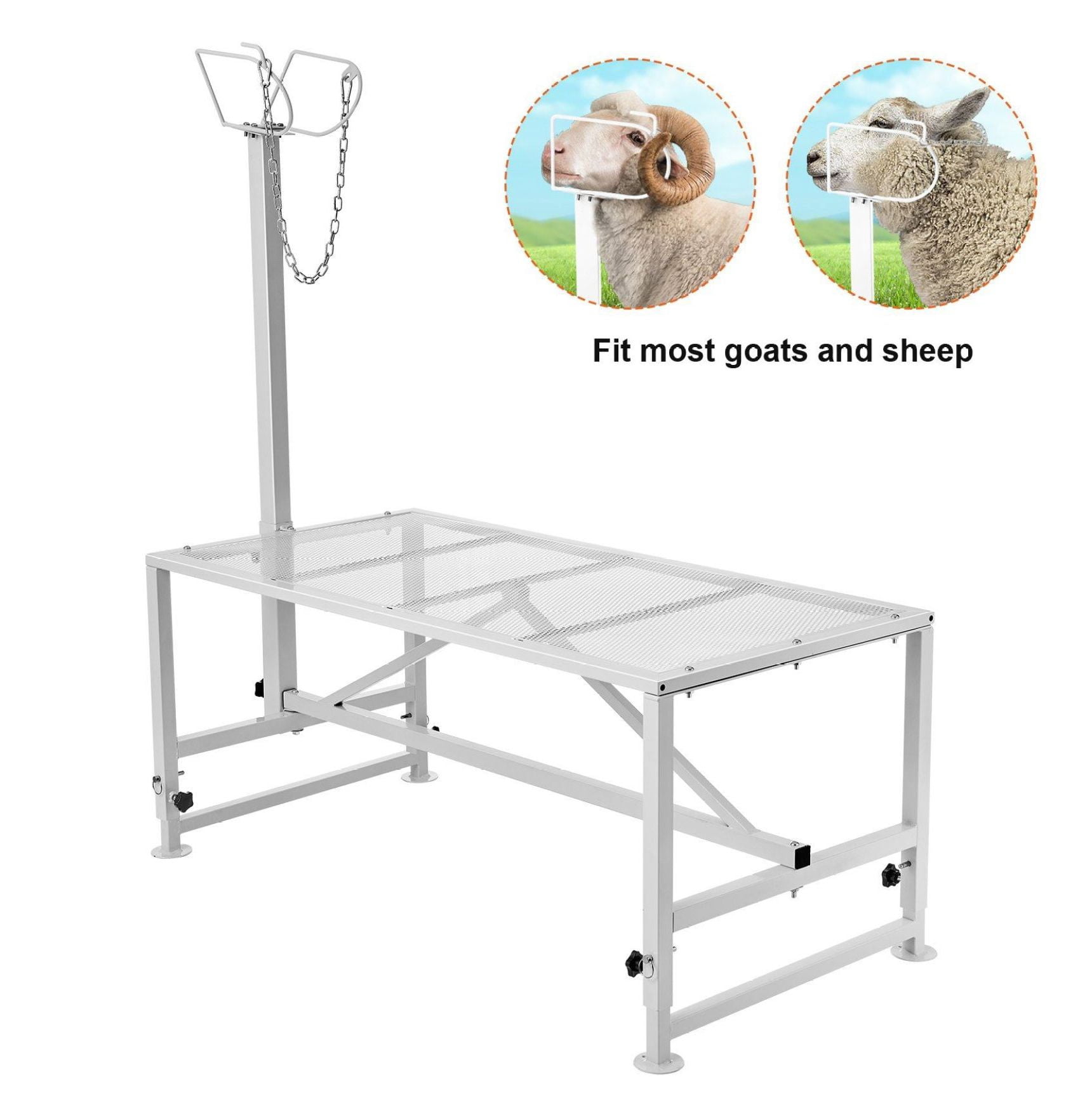 Goat & Sheep Stand 51x23 inch Livestock Stand Adjustable Height 21-33 ...