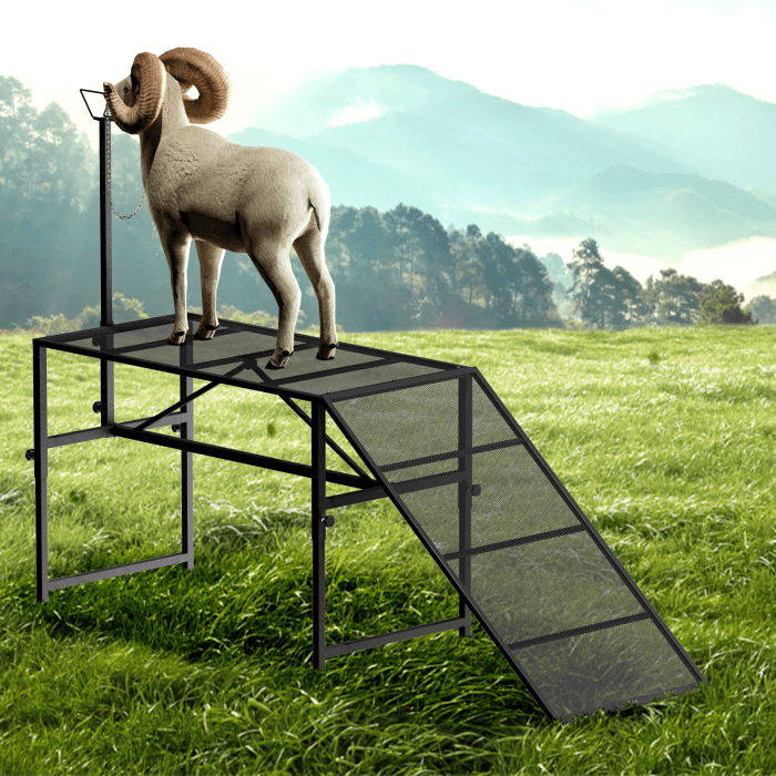 Goat Sheep Stand with Head Lock, Sheep Trimming Stands with Ramp, Thick ...