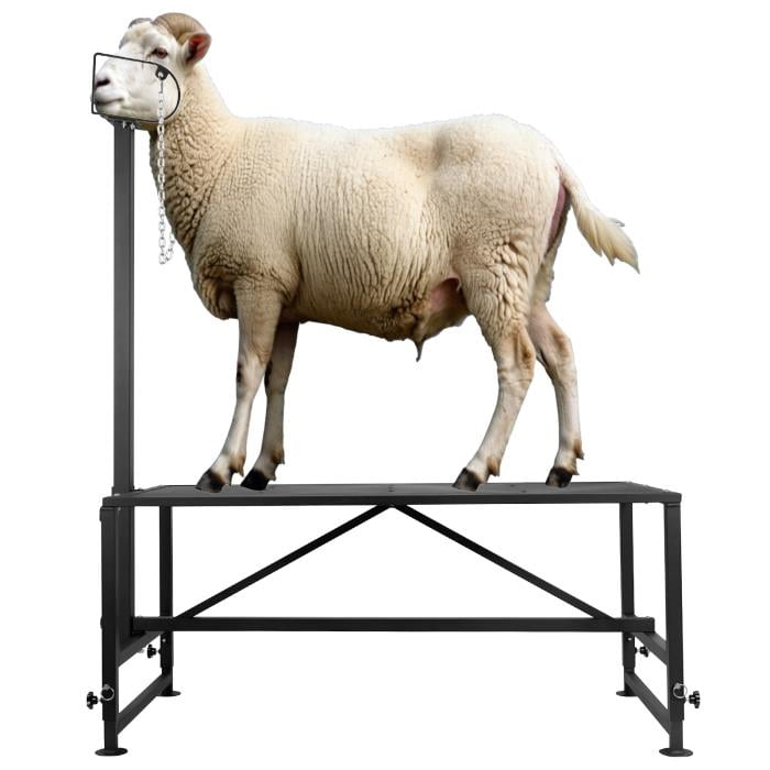 Goat Stand, Rust-Resistant Iron Build, 21"-33" Adjustable Height ...