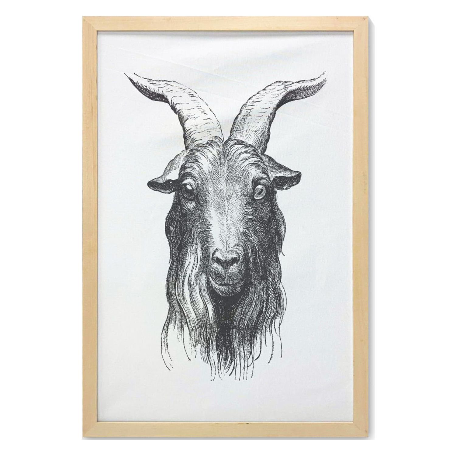 Mountain Goat Head Drawing