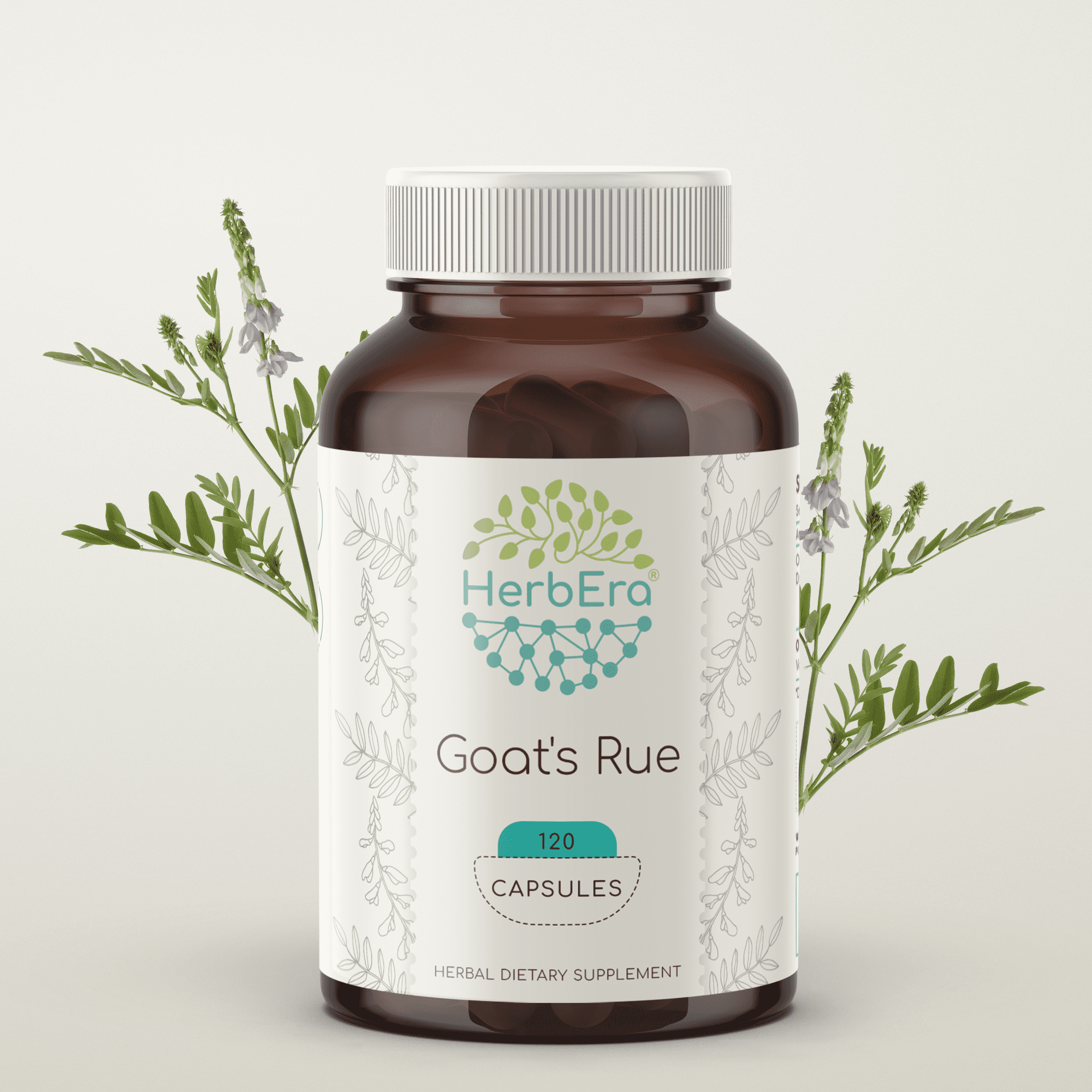 Goat's Rue 120 Capsules, 400 mg, Organic Goat's Rue (Galega officinalis ...