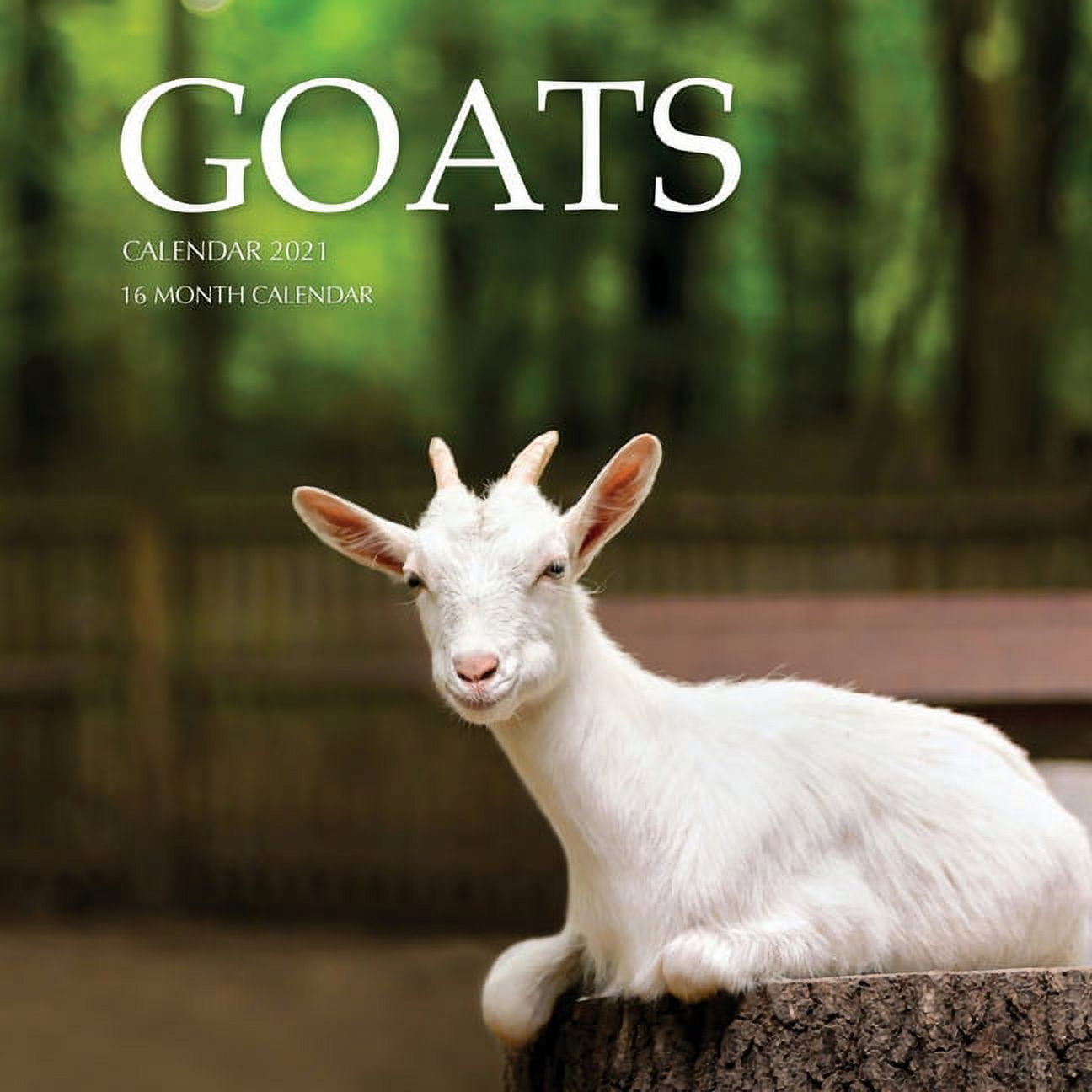 Goats Calendar 2021: 16 Month Calendar (Paperback) - Walmart.com