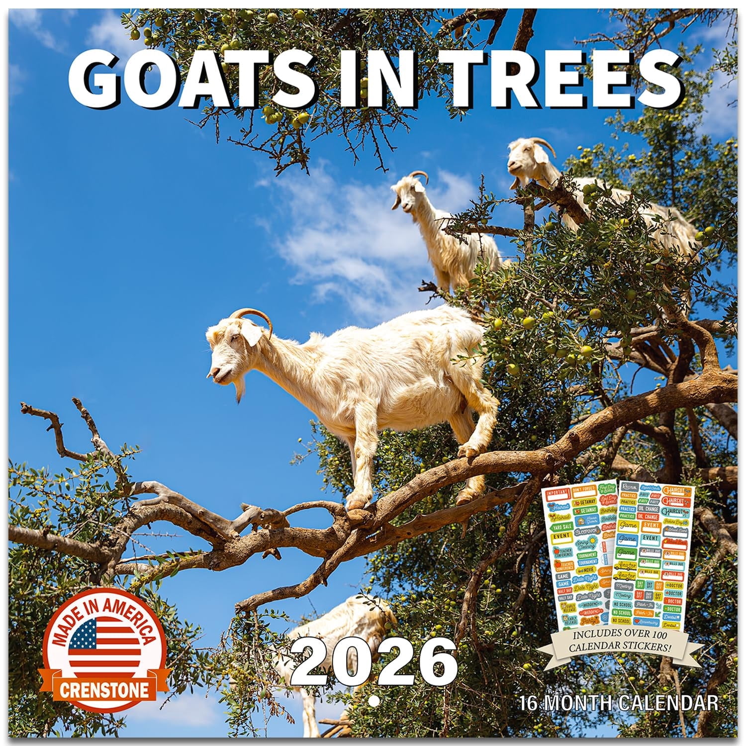 Goats in Trees Calendar 2026 - Deluxe 2026 Bizarre Goats Wall Calendar ...