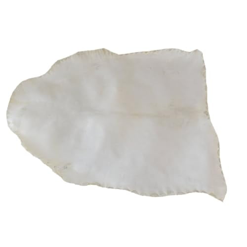 Goatskin Parchment for Calligraphy and Illumination, Pre-Prepared ...