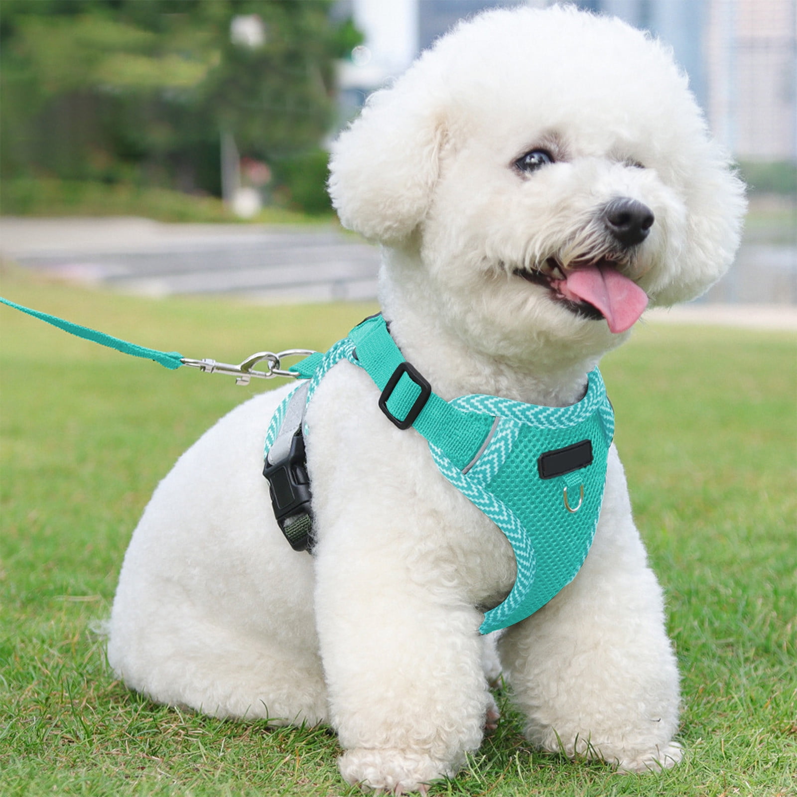 Goattoy Dog Harness and Leash Set Breathable Puppy Cat Dog Vest ...