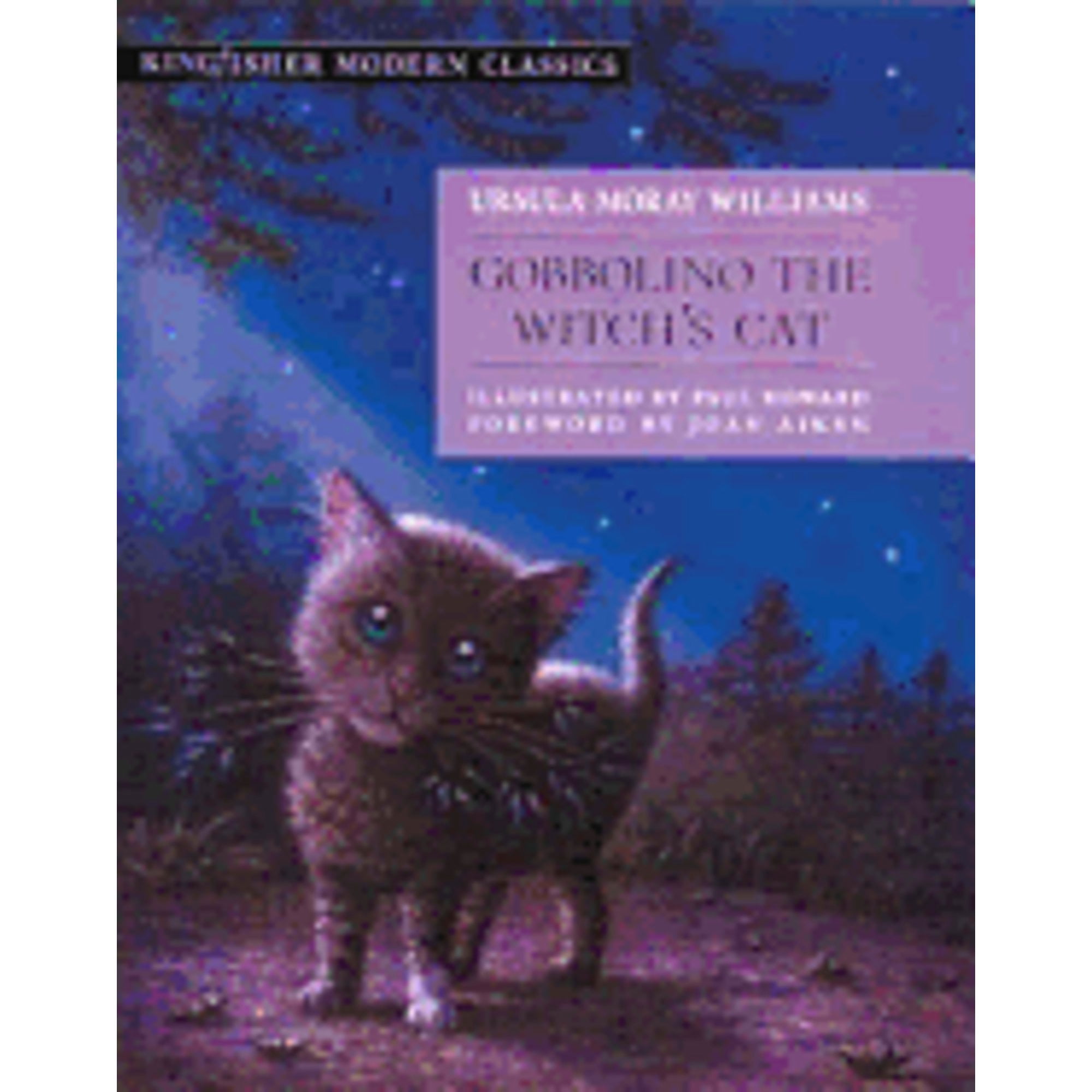 Pre-Owned Gobbolino the Witch's Cat (Kingfisher Modern Classics ...