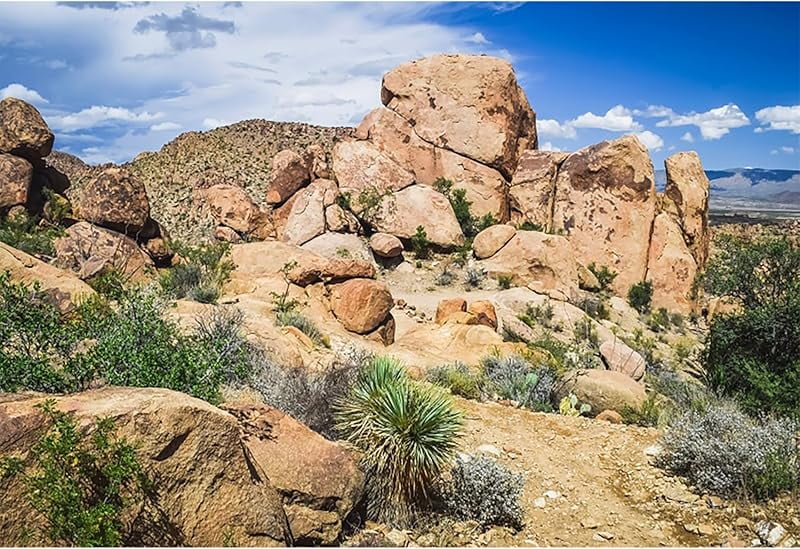 Gobi Desert Backdrops for Photography Nature Scenery Weathered Rock ...