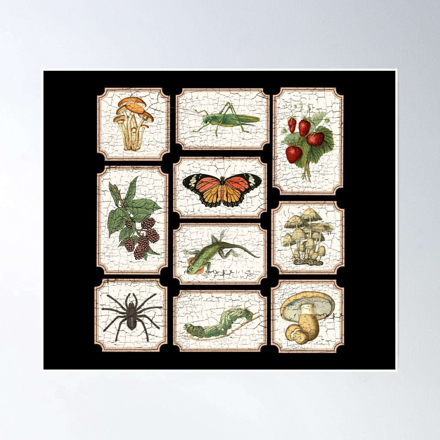 Goblincore Poster Wall Art, Modern Wall Decor, 30x30 UNFRAMED - Walmart.com