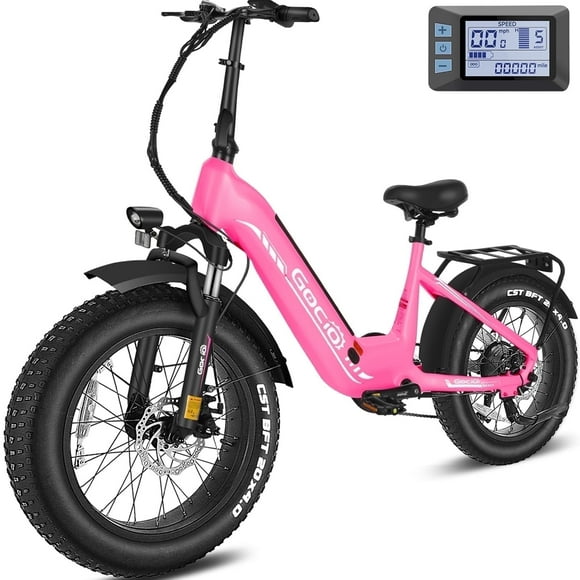 Fat Tire Electric Bike