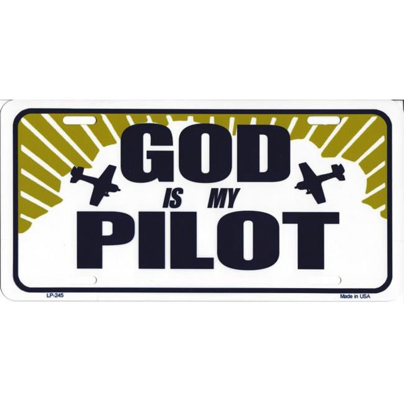 Pilot License