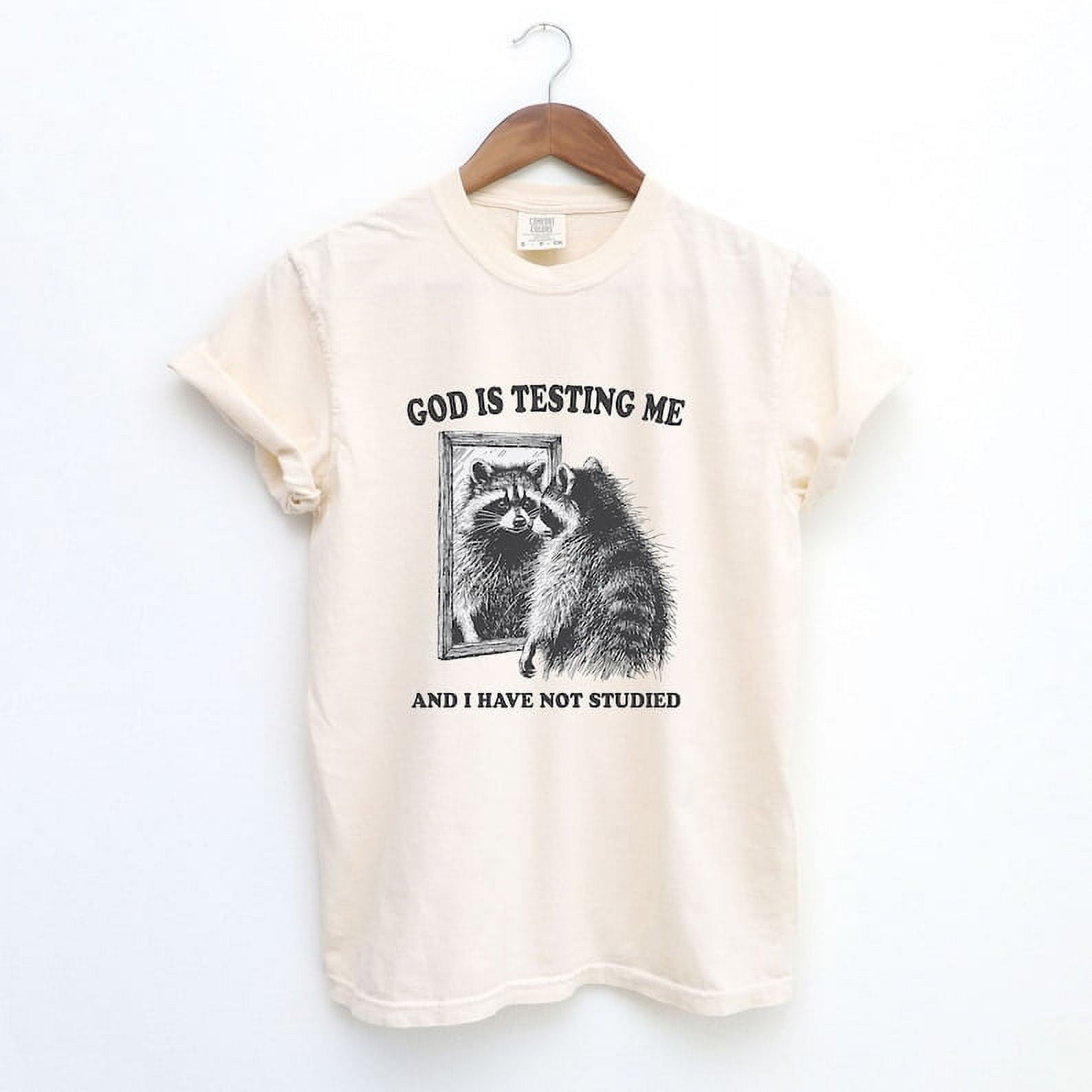 God Is Testing Me, Funny Unisex Tee, Possum T-Shirt, Meme T-Shirt ...