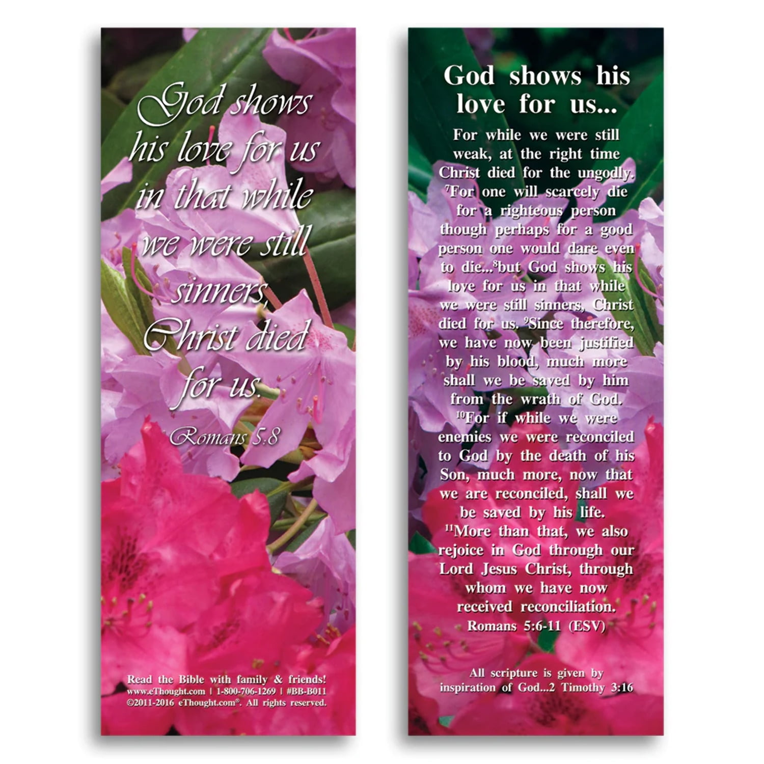 God Shows His Love For Us - Bible Cards - Pack of 25 - Walmart.com