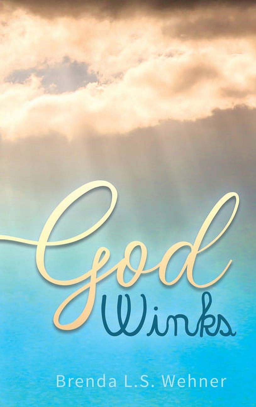 God Winks (Hardcover) - Walmart.com