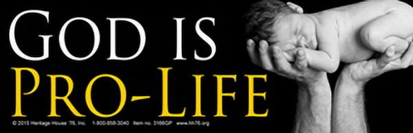 God is Pro-Life NEW! Pro-Life Bumper Sticker - Walmart.com
