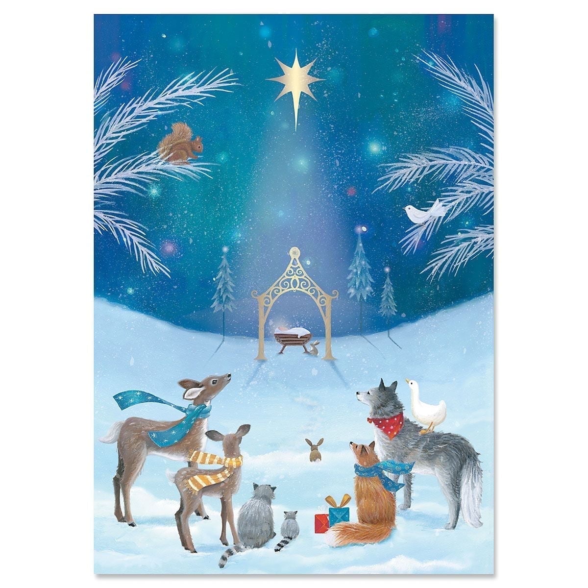 "God's Gift Inspirational Religious Christmas Cards - Set of 18, Size 5 ...