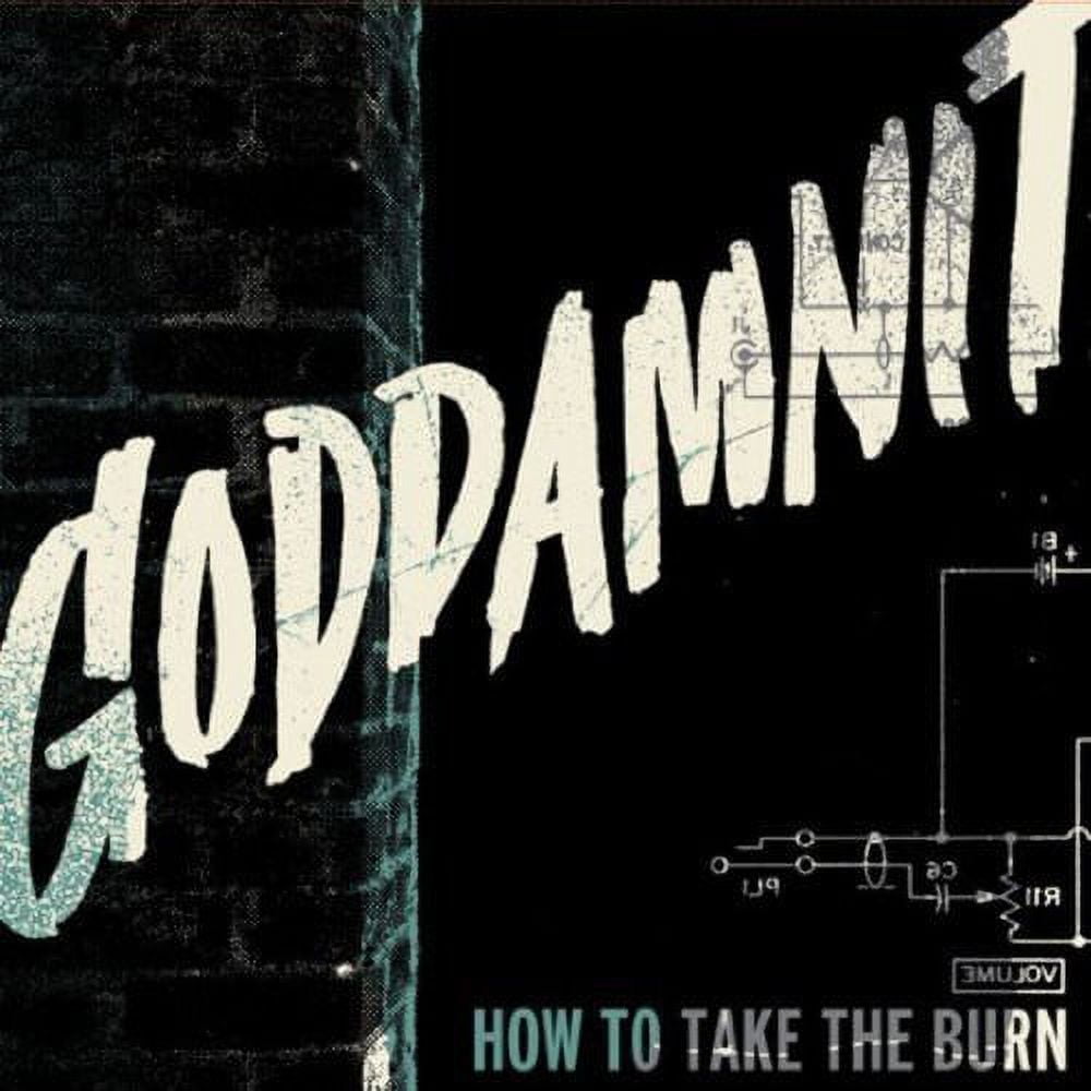 Goddamnit - How to Take the Burn - Rock - Vinyl - Walmart.com