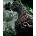 Monsters Raid Again G [BP02] Godzilla Card Game Booster Box - Walmart.com
