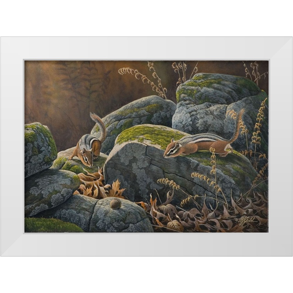 Goebel, Wilhelm 18x14 White Modern Wood Framed Museum Art Print Titled ...