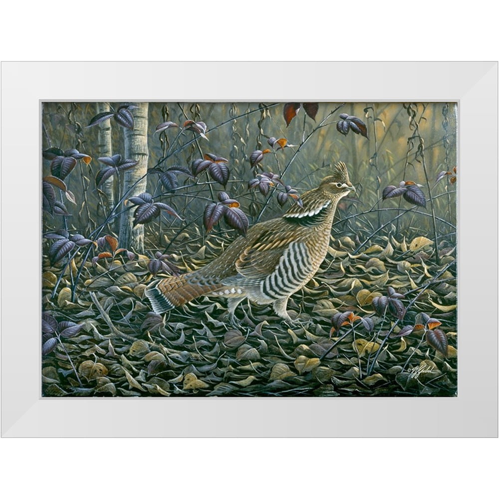 Goebel, Wilhelm 18x14 White Modern Wood Framed Museum Art Print Titled ...