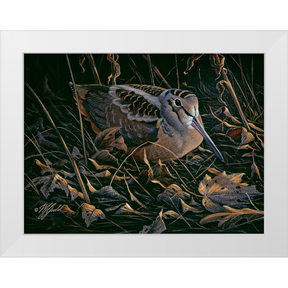 Goebel, Wilhelm 18x15 White Modern Wood Framed Museum Art Print Titled ...