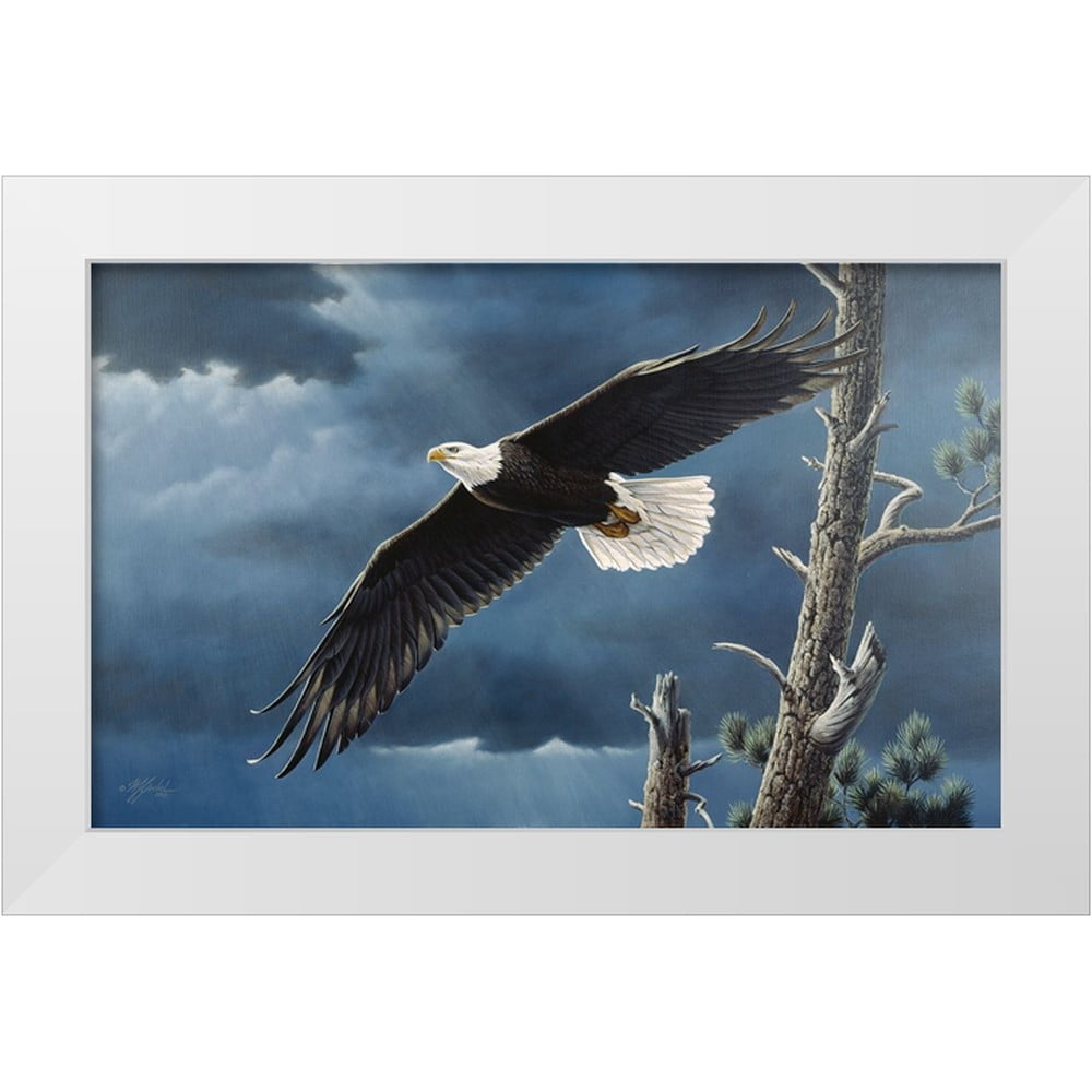 Goebel, Wilhelm 24x16 White Modern Wood Framed Museum Art Print Titled ...