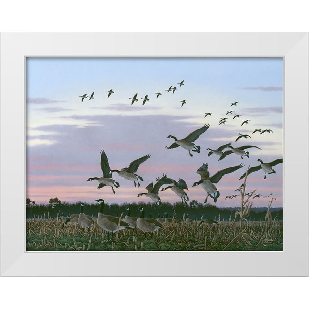Goebel, Wilhelm 24x19 White Modern Wood Framed Museum Art Print Titled ...