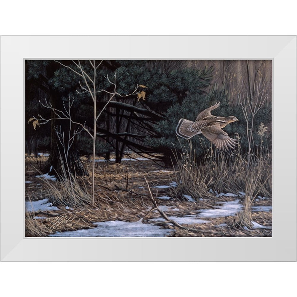 Goebel, Wilhelm 32x24 White Modern Wood Framed Museum Art Print Titled ...