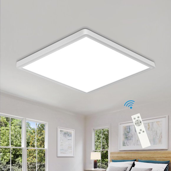 Remote Controlled Ceiling Light Fixture