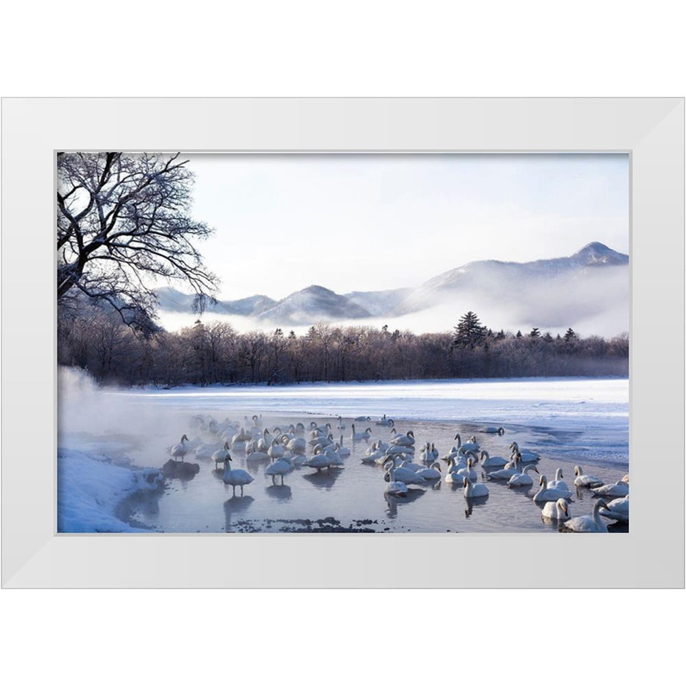 Goff, Ellen 14x11 White Modern Wood Framed Museum Art Print Titled ...
