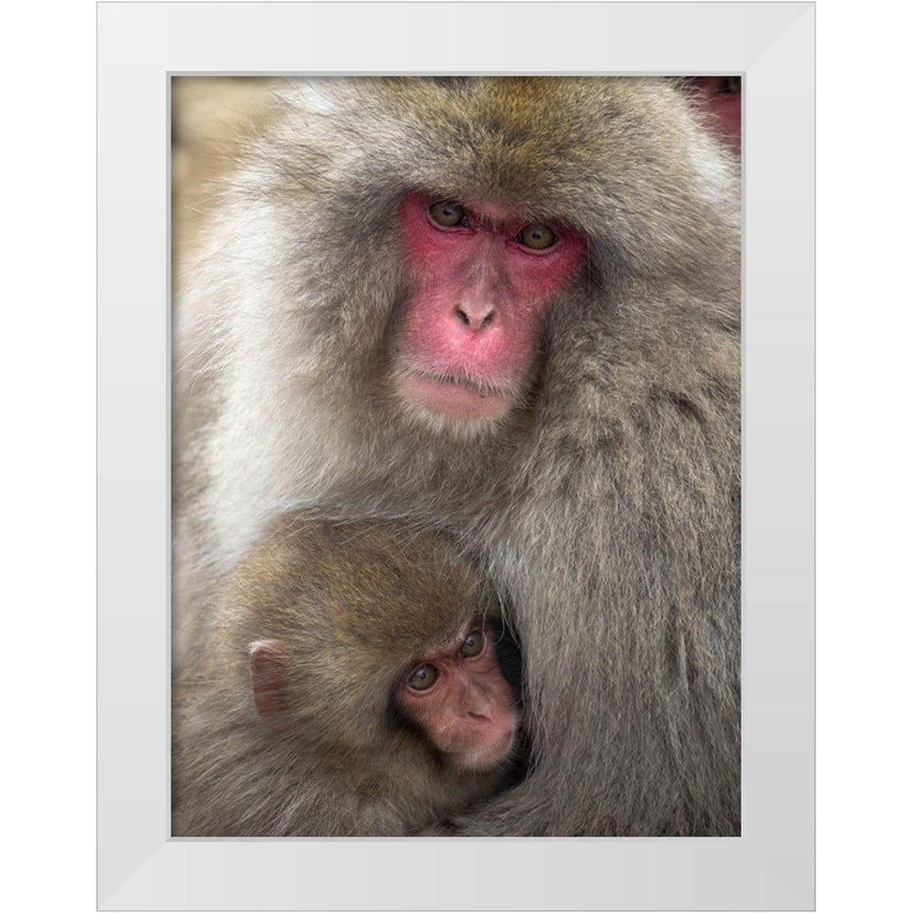 Goff, Ellen 19x24 White Modern Wood Framed Museum Art Print Titled ...