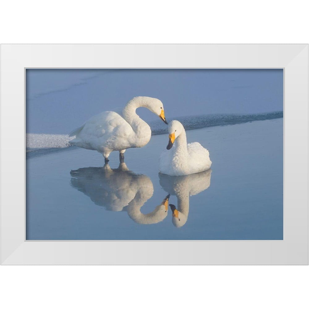 Goff, Ellen 24x17 White Modern Wood Framed Museum Art Print Titled ...