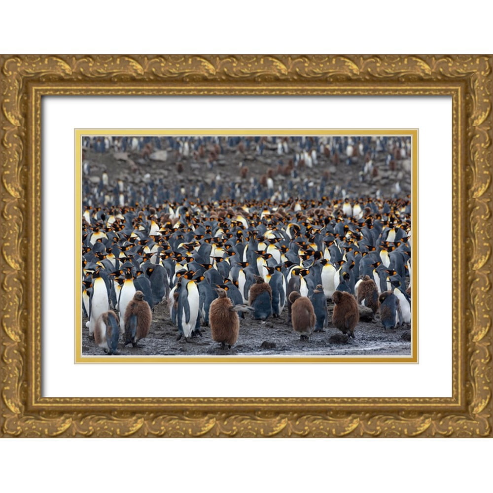 Goff, Ellen B. 14x11 Gold Ornate Wood Framed with Double Matting Museum ...