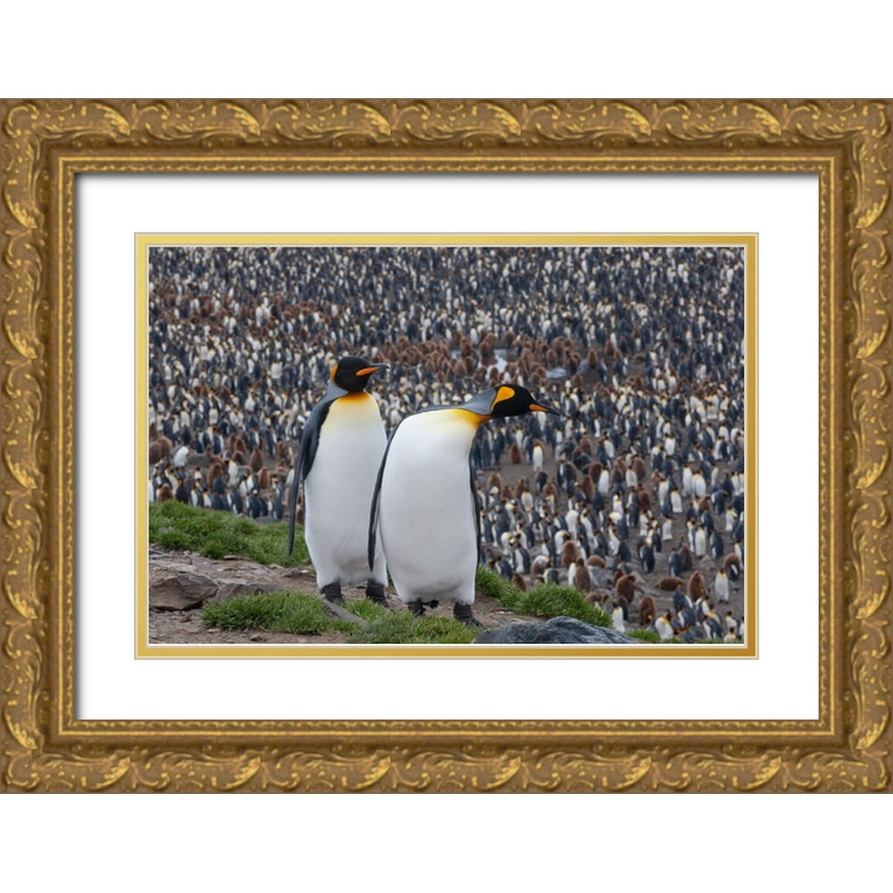 Goff, Ellen B. 14x11 Gold Ornate Wood Framed with Double Matting Museum ...