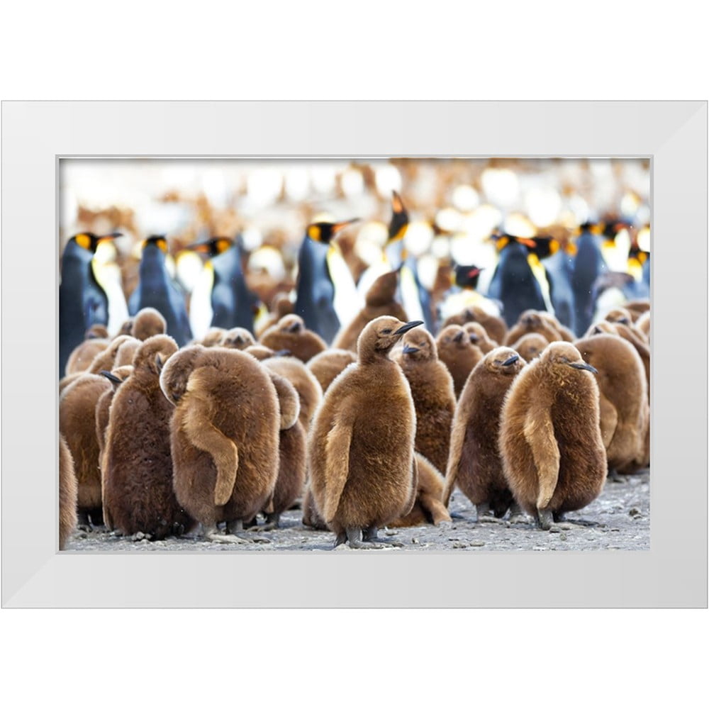 Goff, Ellen B. 18x13 White Modern Wood Framed Museum Art Print Titled ...