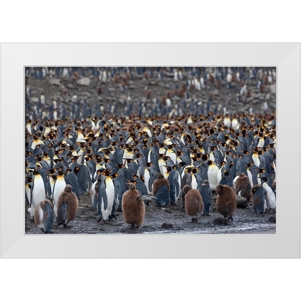 Goff, Ellen B. 18x13 White Modern Wood Framed Museum Art Print Titled ...