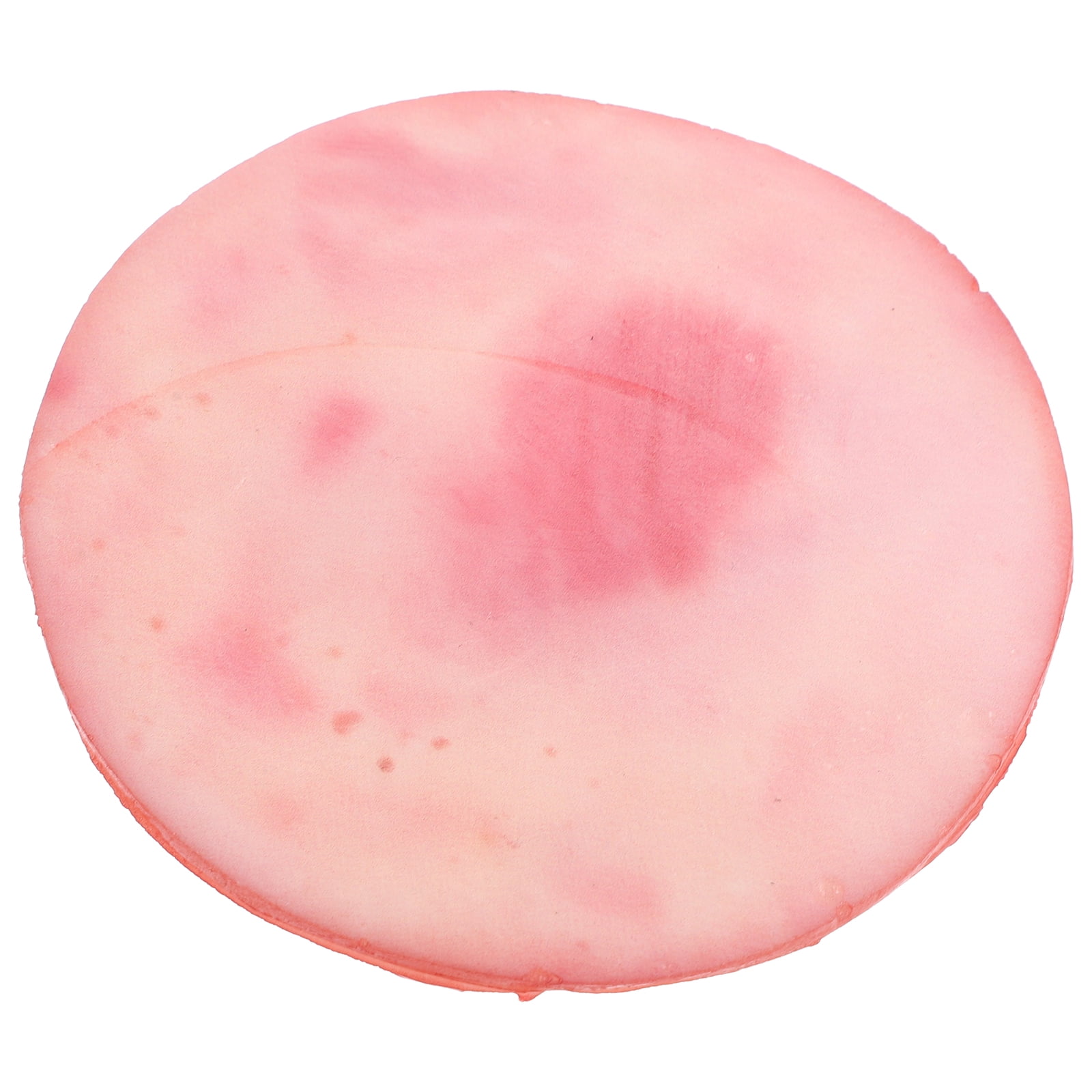 WINOMO Luncheon Meat Display Luncheon Meat Model Friends Photo Prop 8 ...