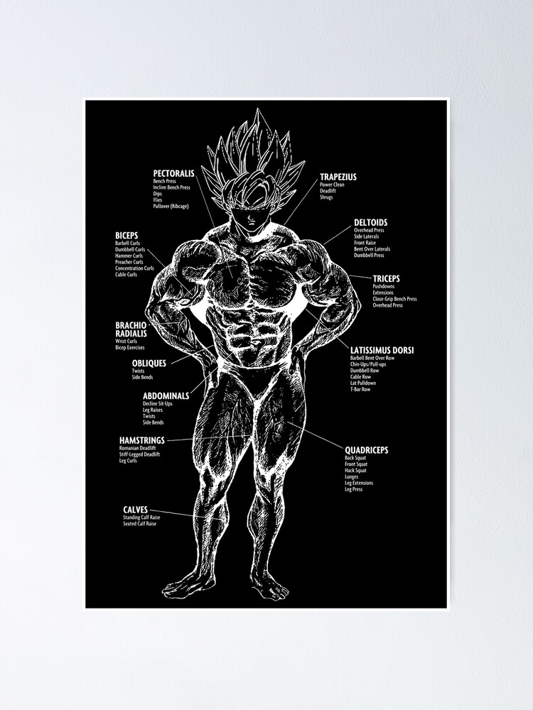 Goku Muscle Chart Anatomy Diagram - Anime Workout Fashion Art Decor ...