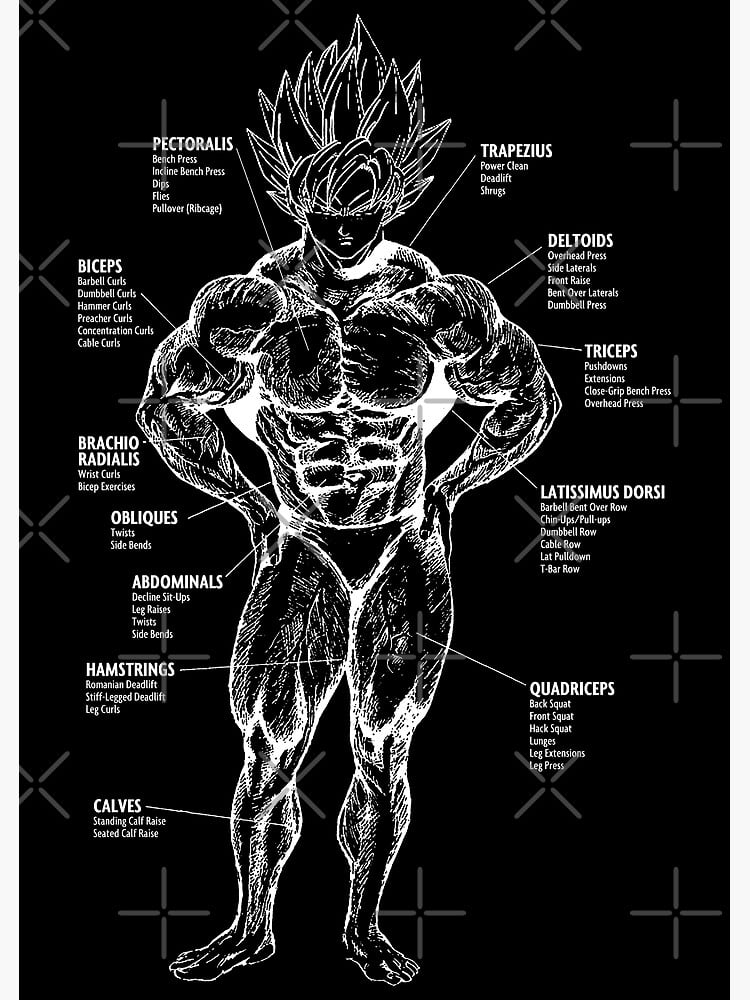 Goku Muscle Chart Anatomy Diagram - Anime Workout Poster Framed ...