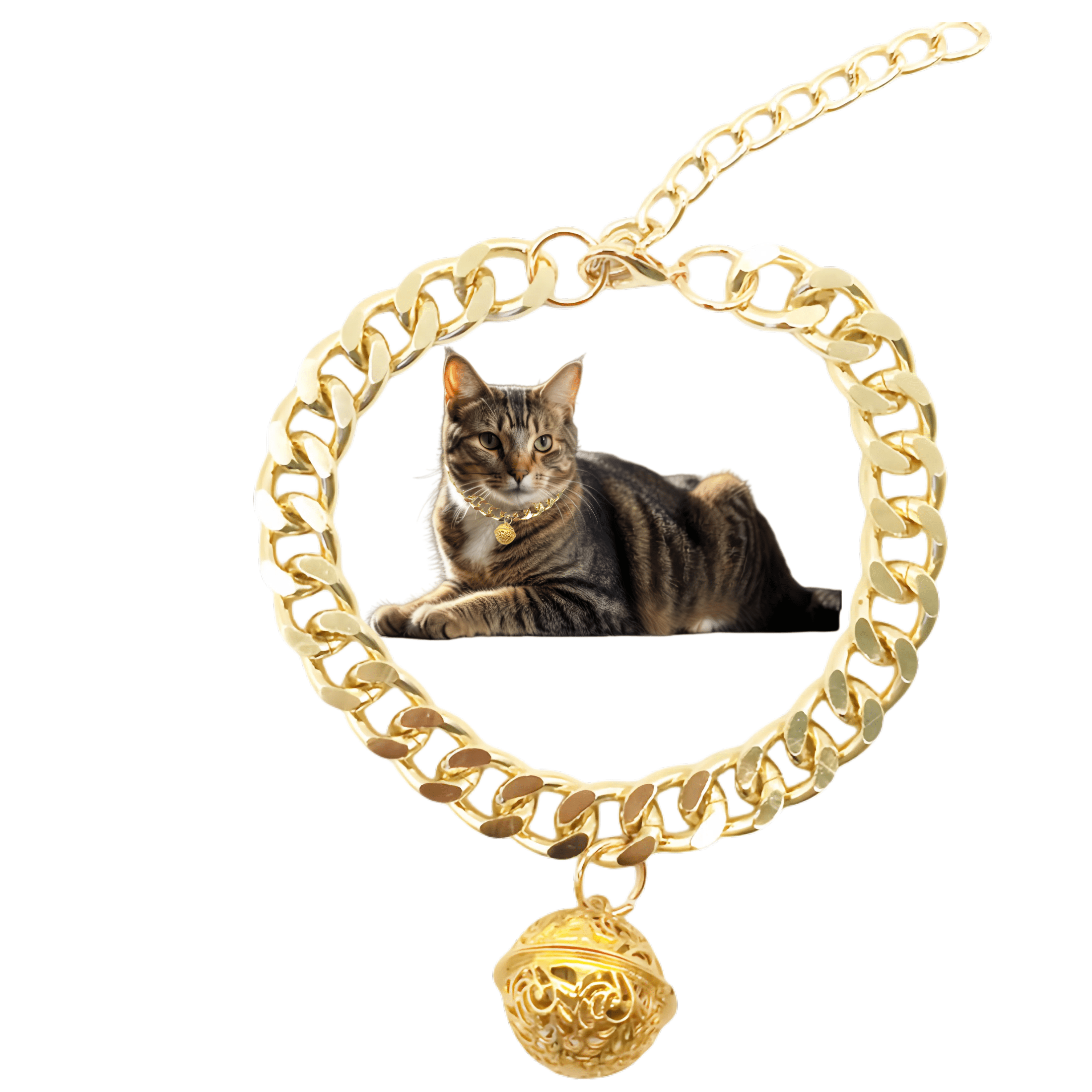 Gold Cat Chain Collar with Bell – Lightweight Metal Necklace for Long ...
