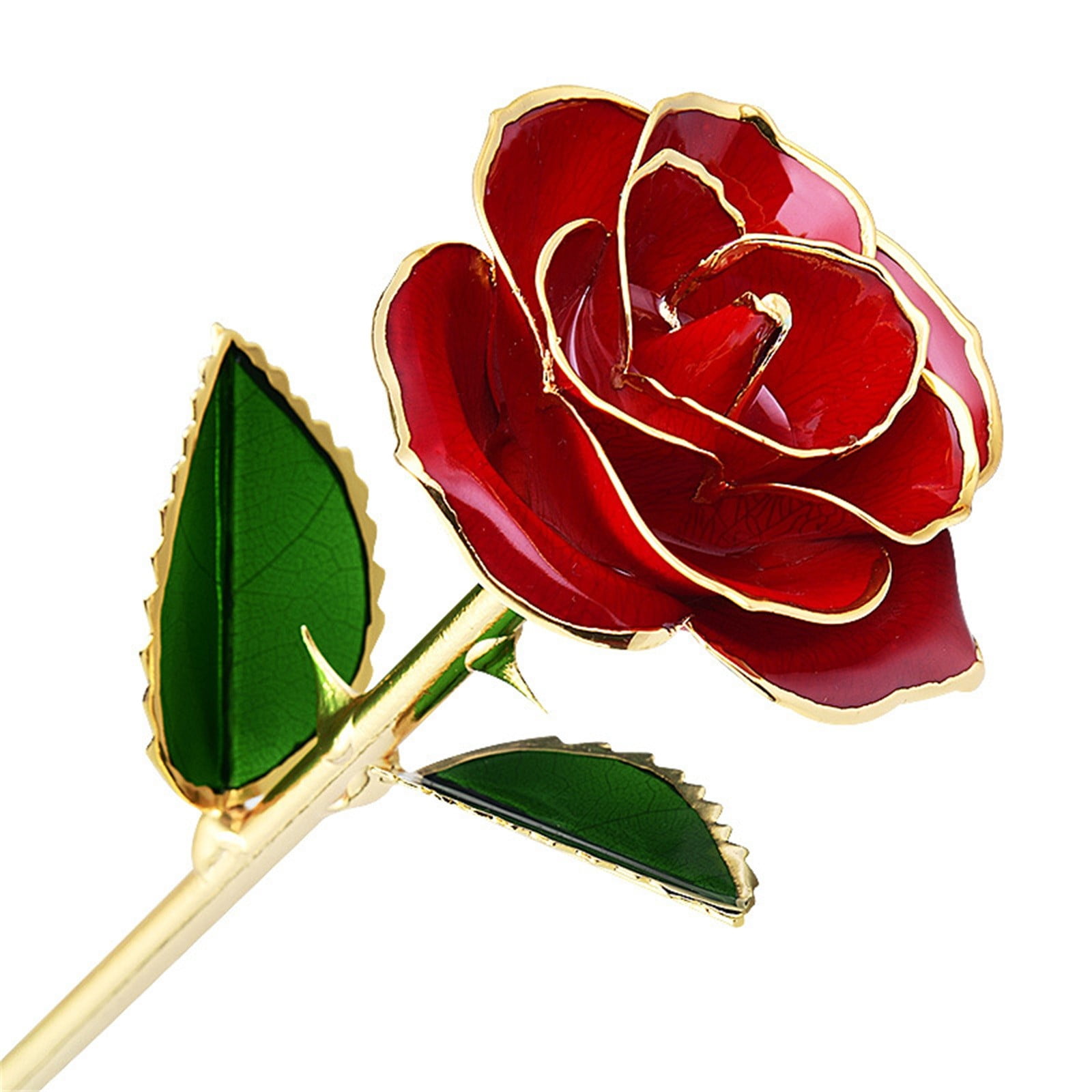 Gold Dipped Rose Gold Rose With Transparent Stand Real Long Stem Rose ...
