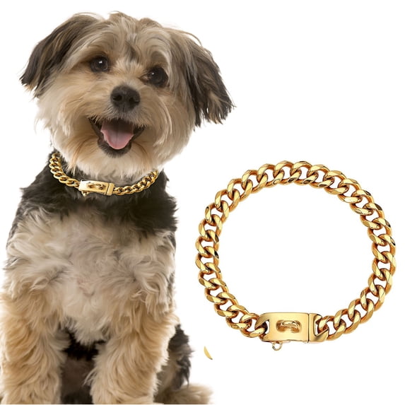 Gold Dog Collar Metal Stainless Steel Strong Chain For Small Puppy Dogs ...