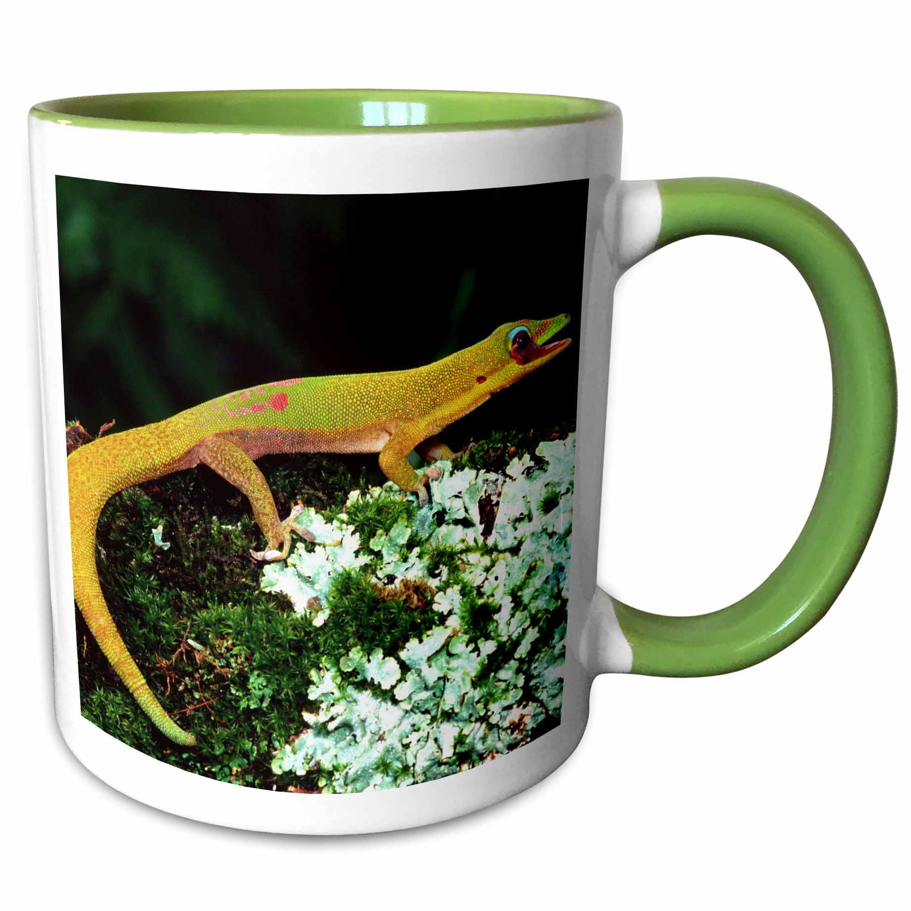 3drose, Gold Dust Day Gecko Licking Eye, Lizard - Na02 Dno0254 - David ...