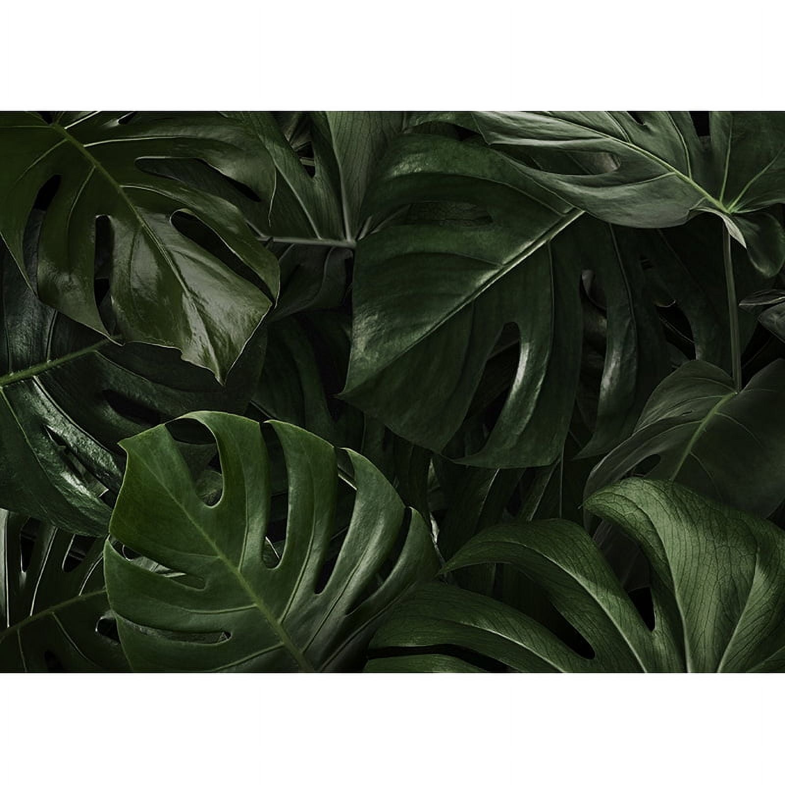 Gold Leaves Tropical Plants Photography Backdrops Props Rainforest ...