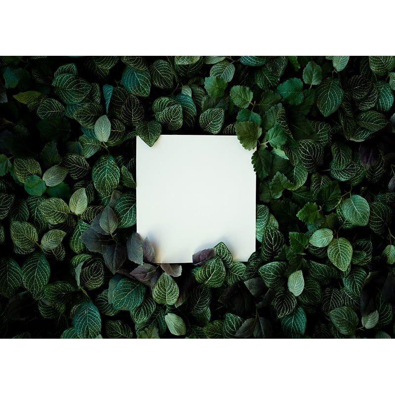 Gold Leaves Tropical Plants Photography Backdrops Props Rainforest ...