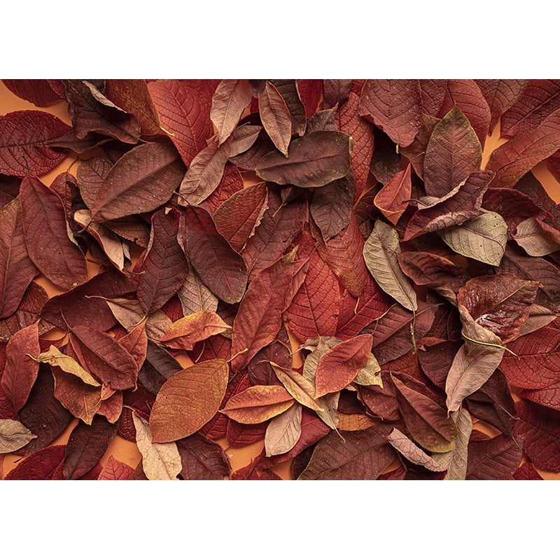 Gold Leaves Tropical Plants Photography Backdrops Props Rainforest ...